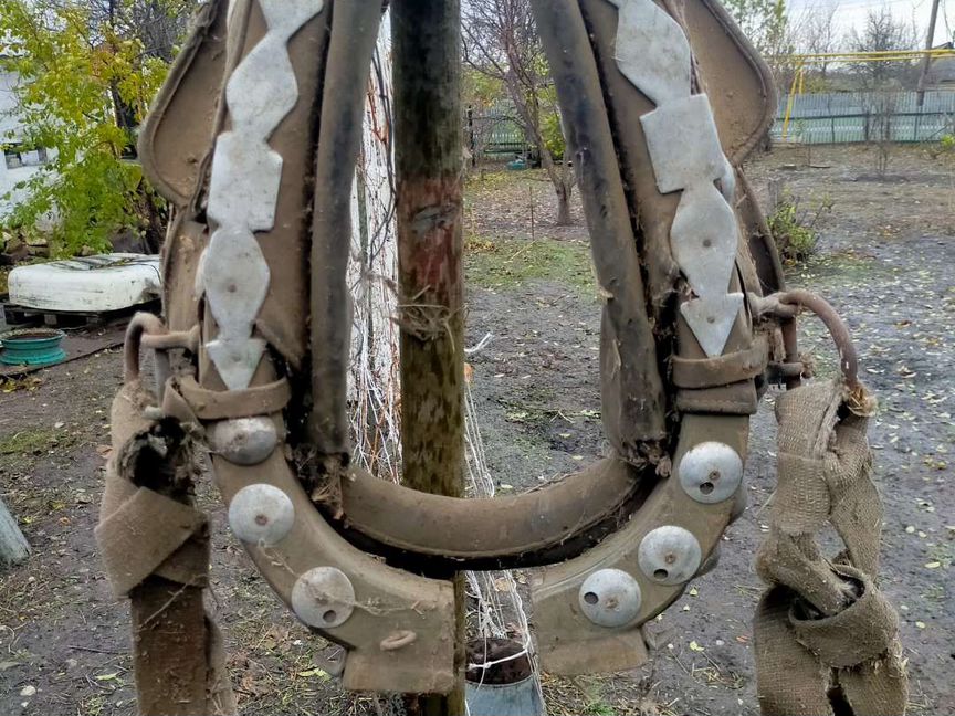 Хомут для лошади