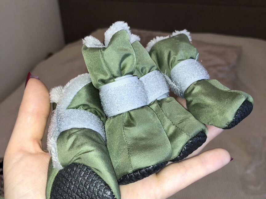 Ботинки для маленьких собак