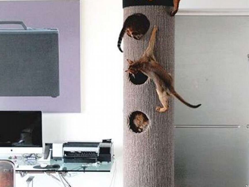 Когтеточка, лазалка, домик для кошек