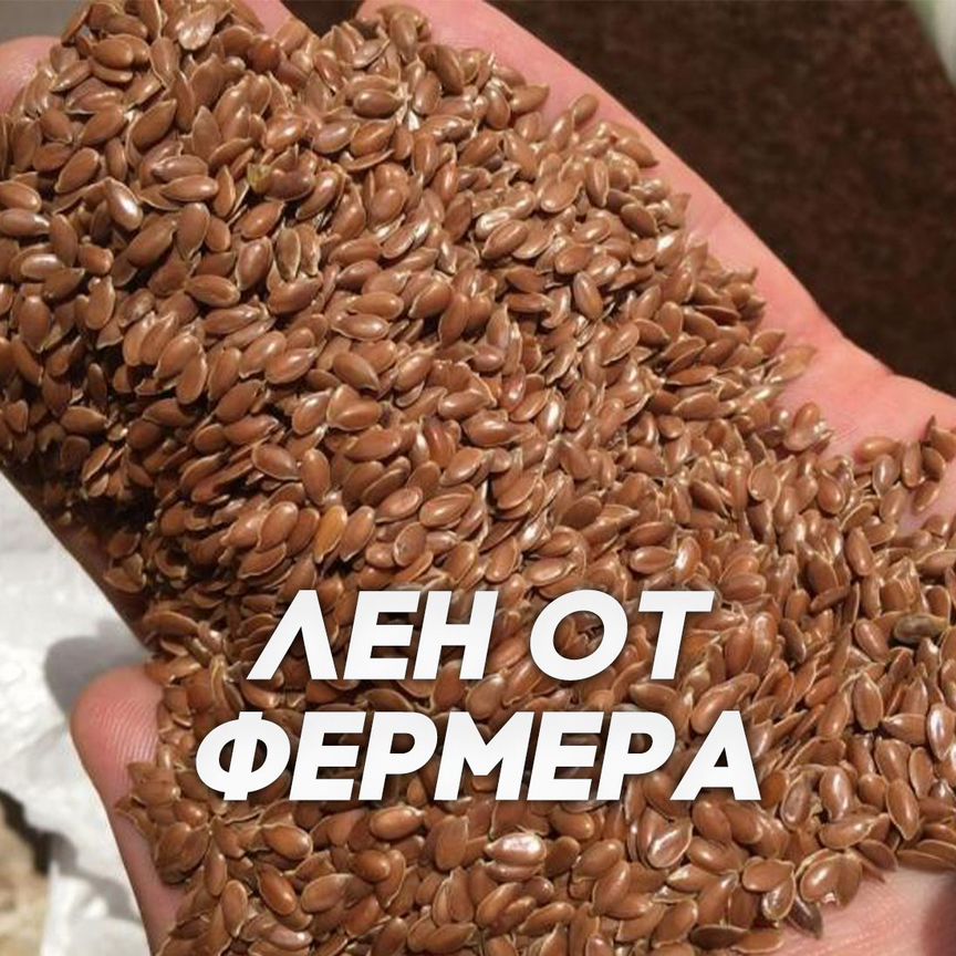 Зерно льна