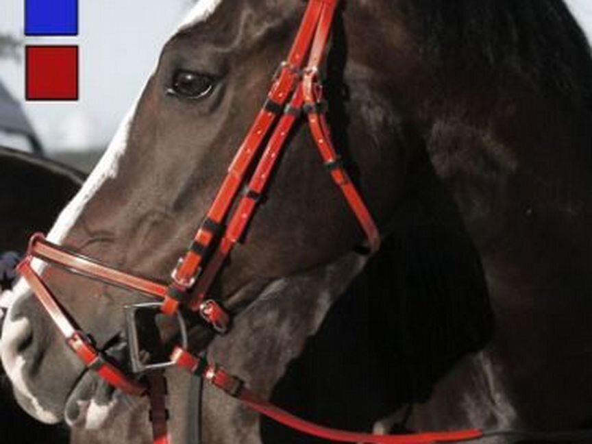 Уздечка пвх для лошади новая