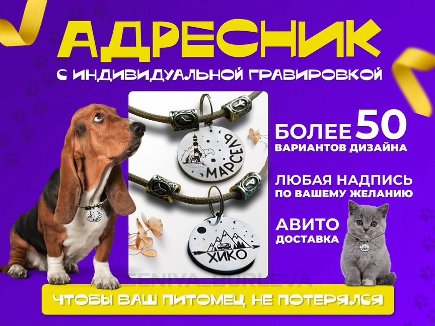 Адресники для собак и кошек