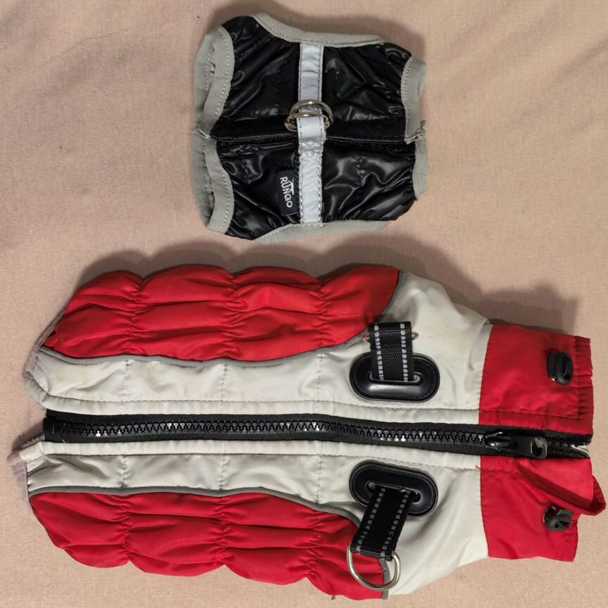 Костюм для маленькой собаки