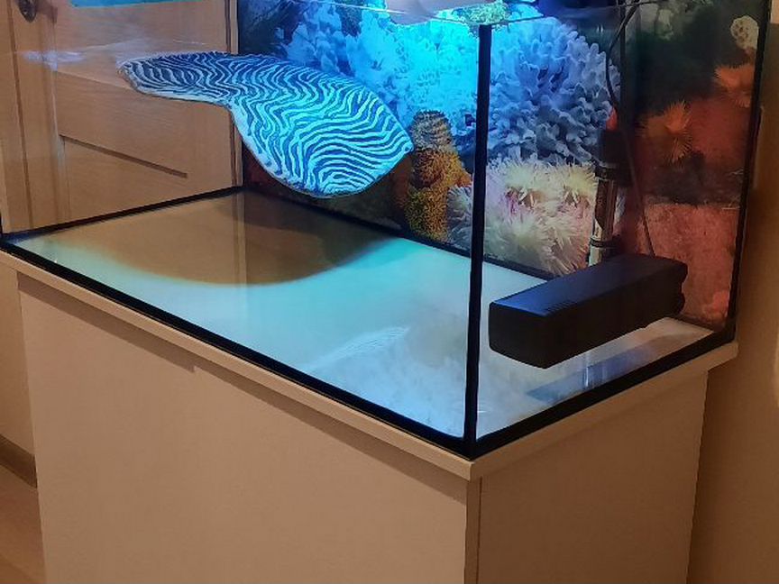 Аквариум-черепашник