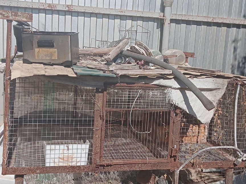 Клетка для грызунов бу