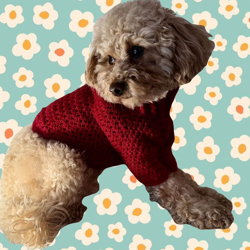 Свитер для собак мелких пород handmade