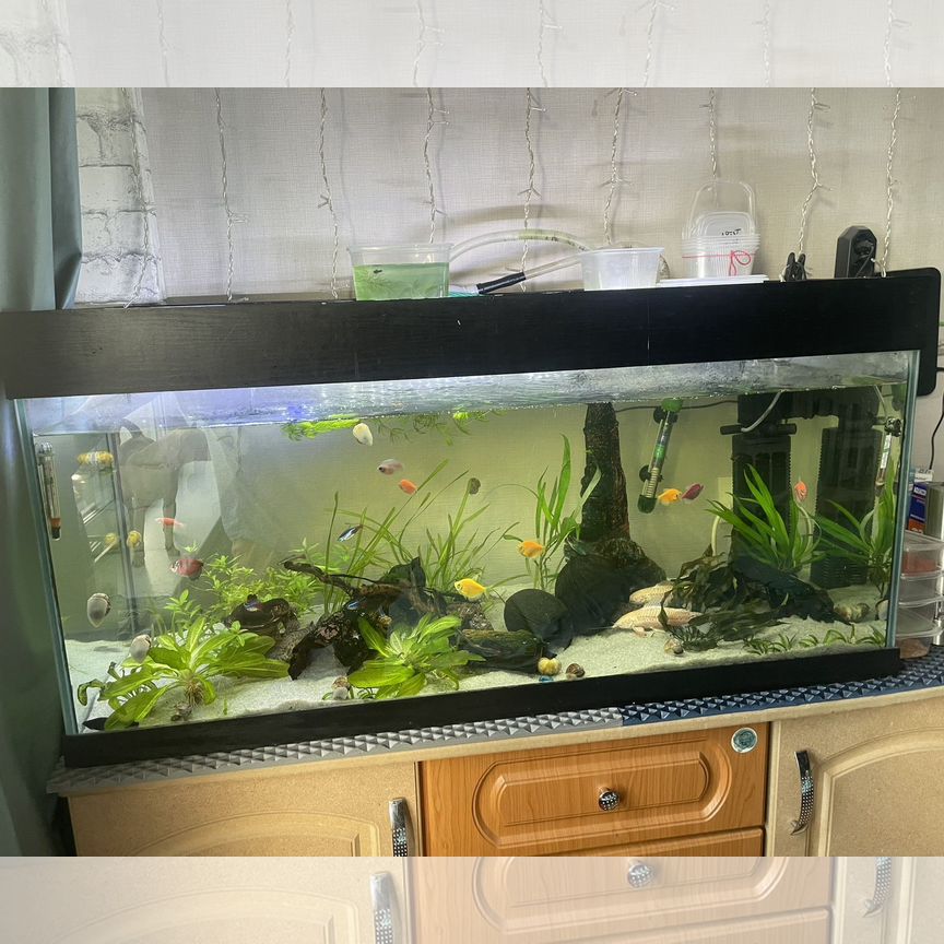 Аквариум 200 литров