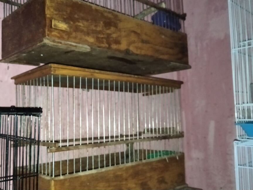 Клетки для певчих птиц