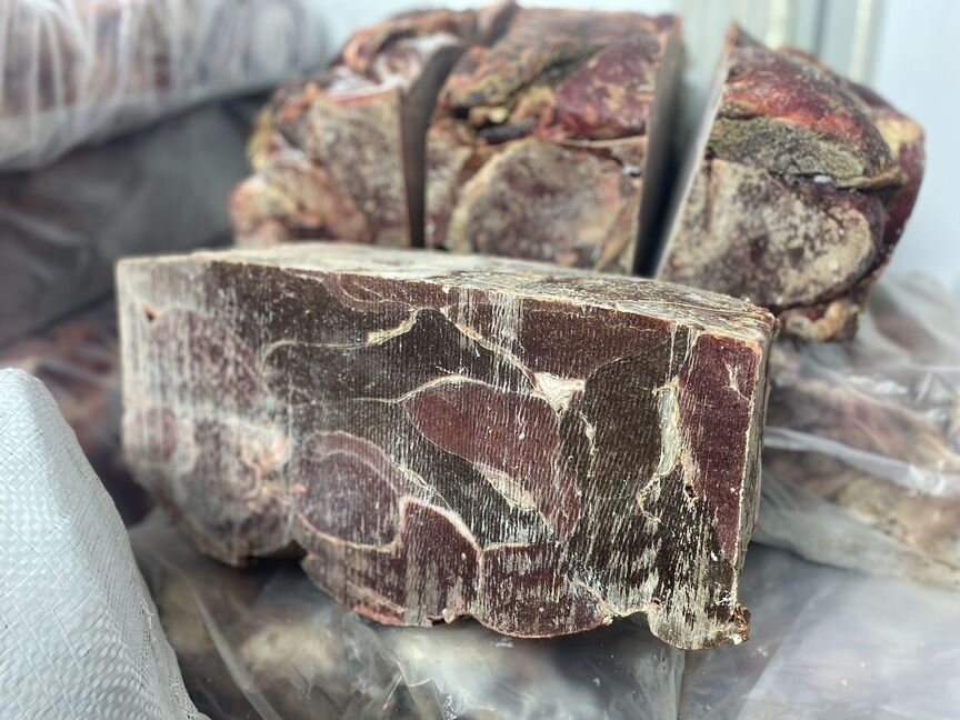 Селезенка для собак