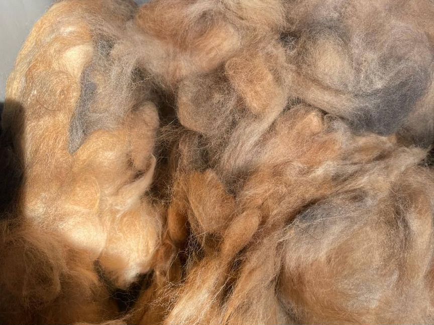 Собачий пух и шерсть