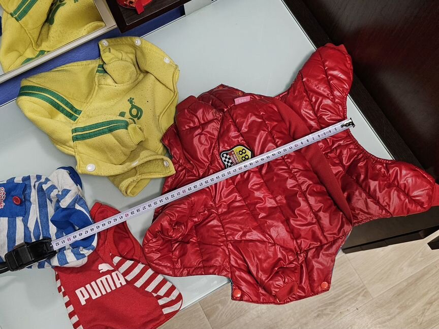 Одежда для маленьких собак бу