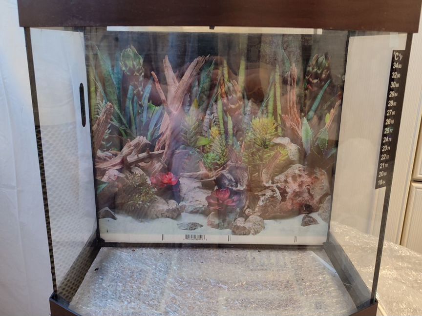 Аквариум, декор, оборудование