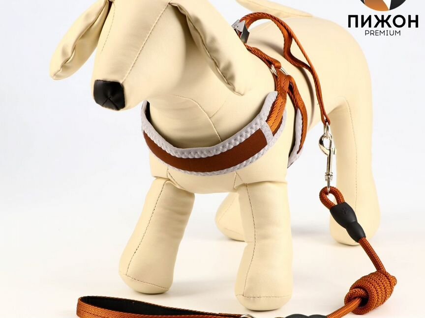 Комплект круглый поводок с вертлюгом, M + шлейка