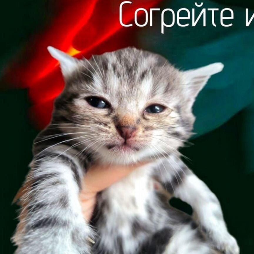 Своими руками