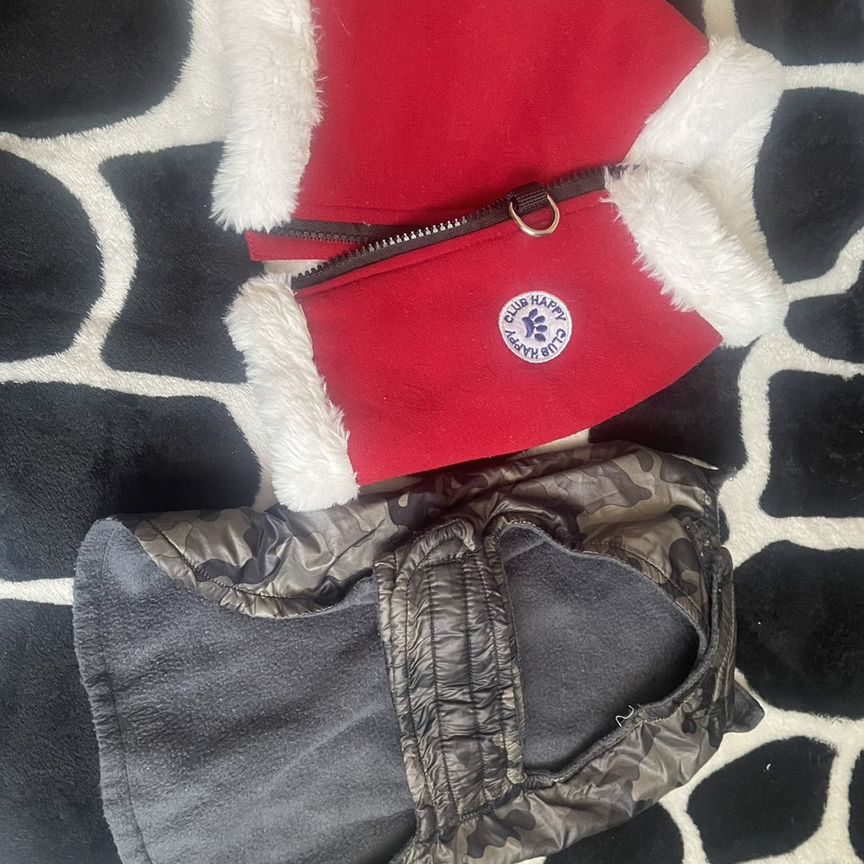 Одежда для собак