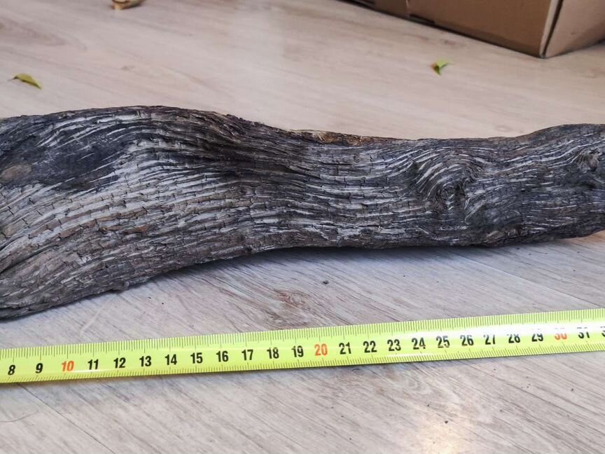 Коряга в террариум/аквариум