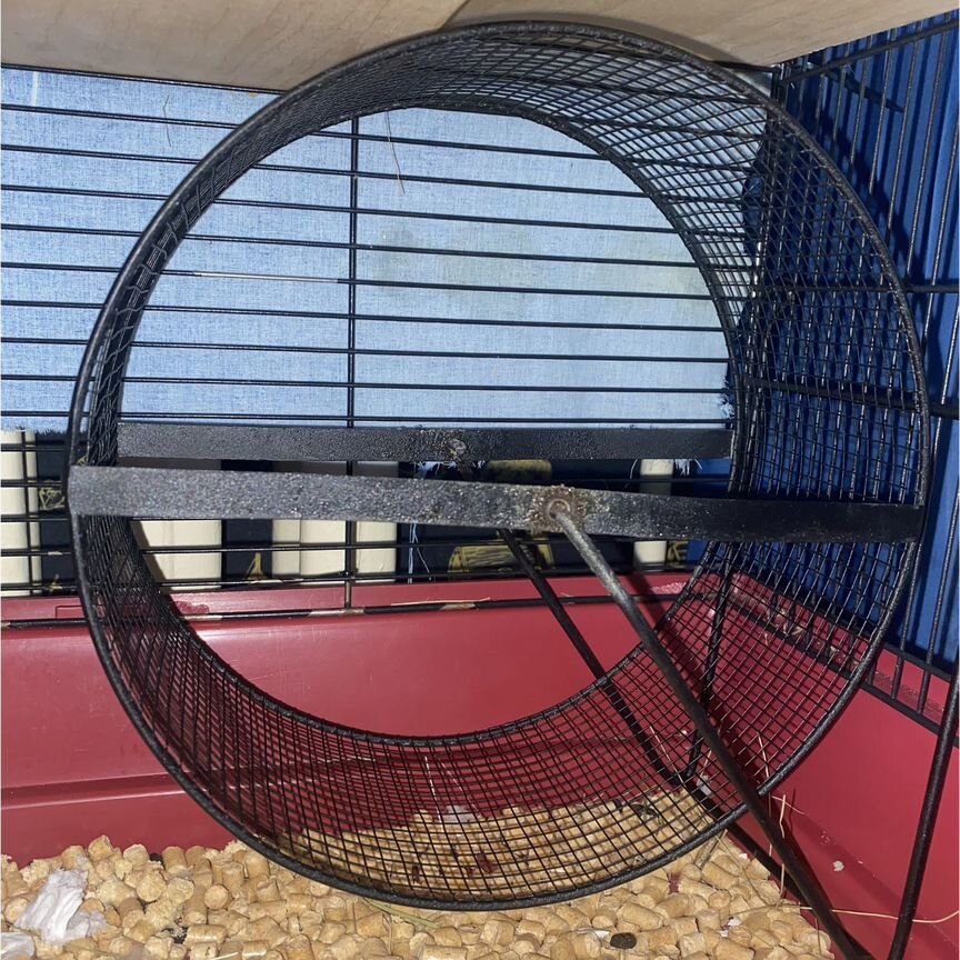 Колесо для грызунов 30 см