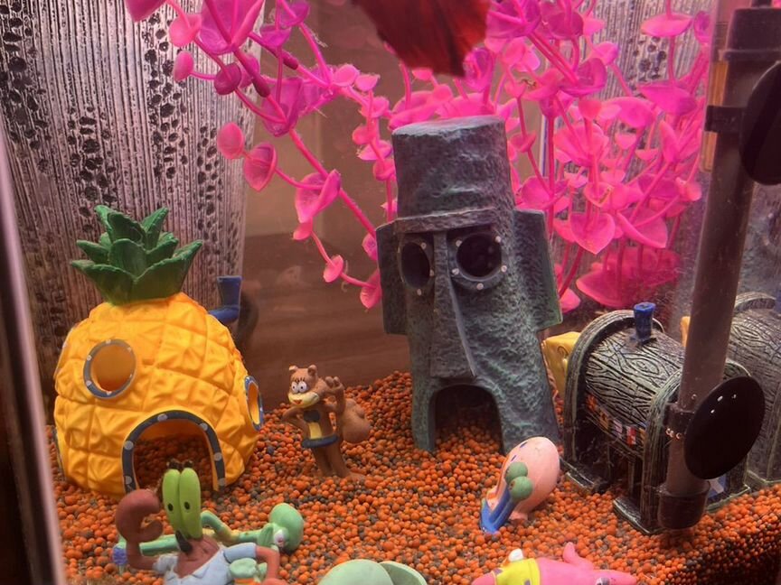 Акварию с рыбкой