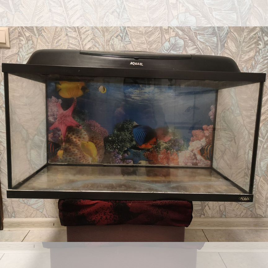 Аквариум