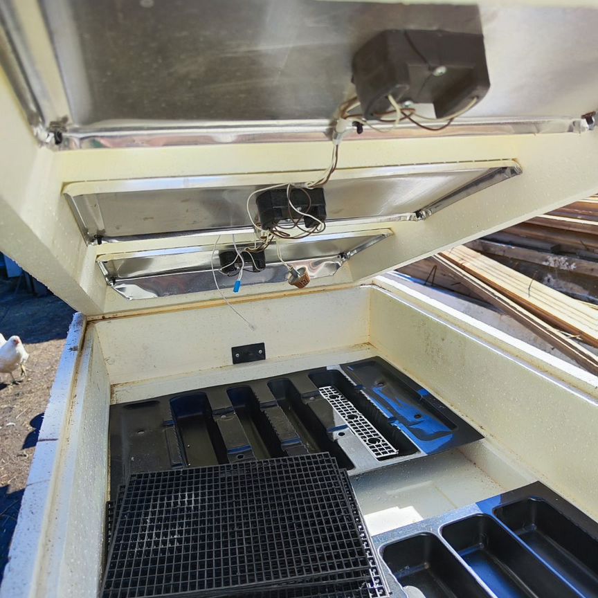 Инкубатор золушка