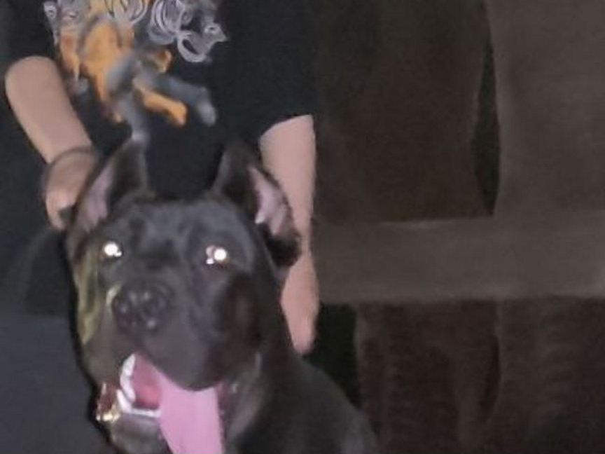 Примим девочку на вязку