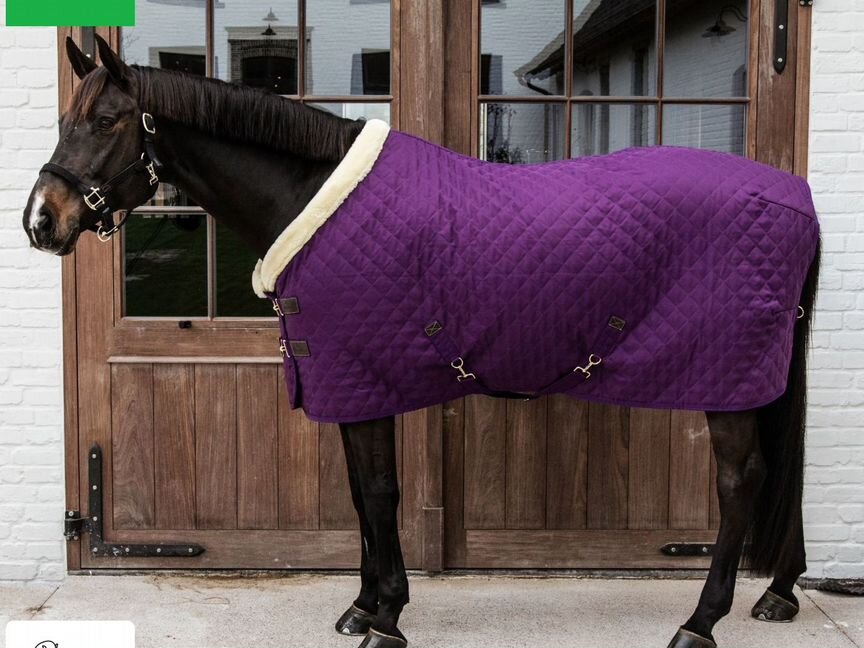 Попона Show rug160 г от Kentucky