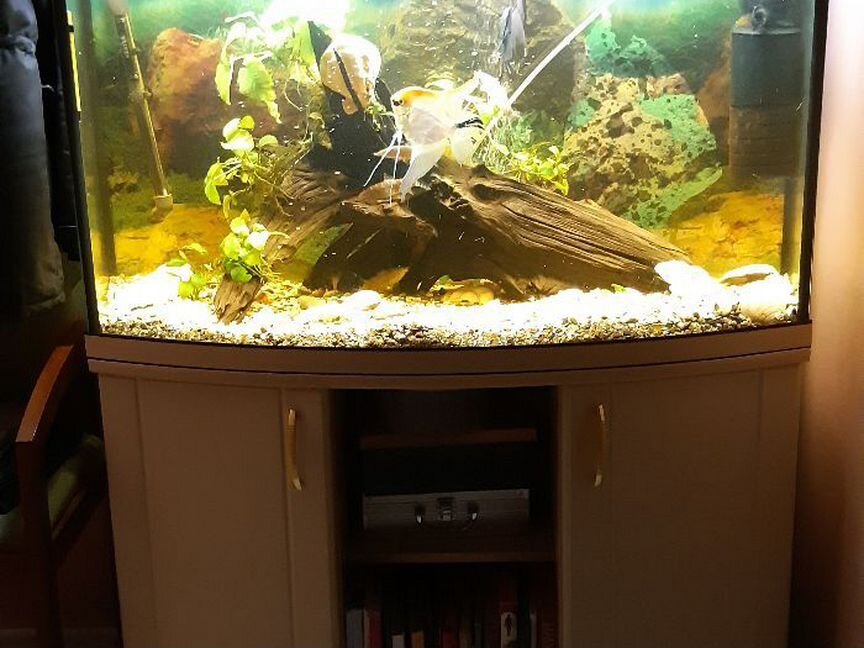 Аквариум с тумбой 240л