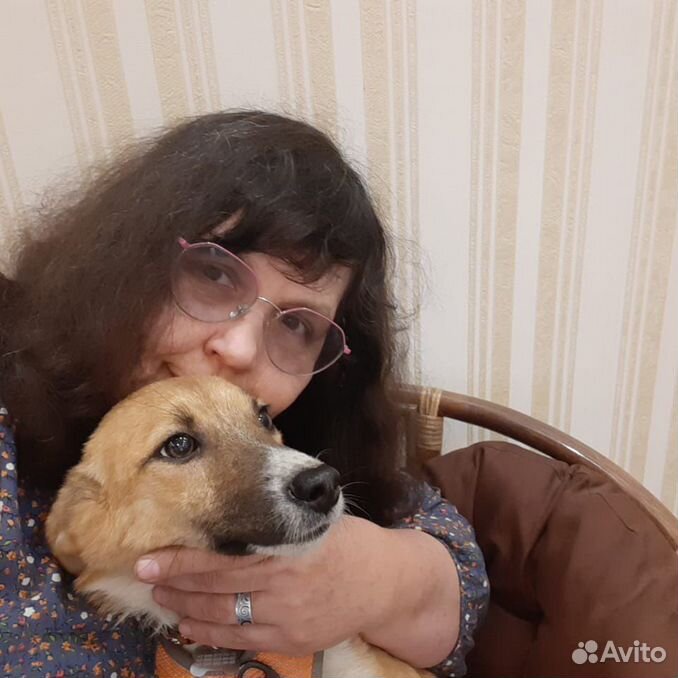 Собачка Таечка в добрые руки