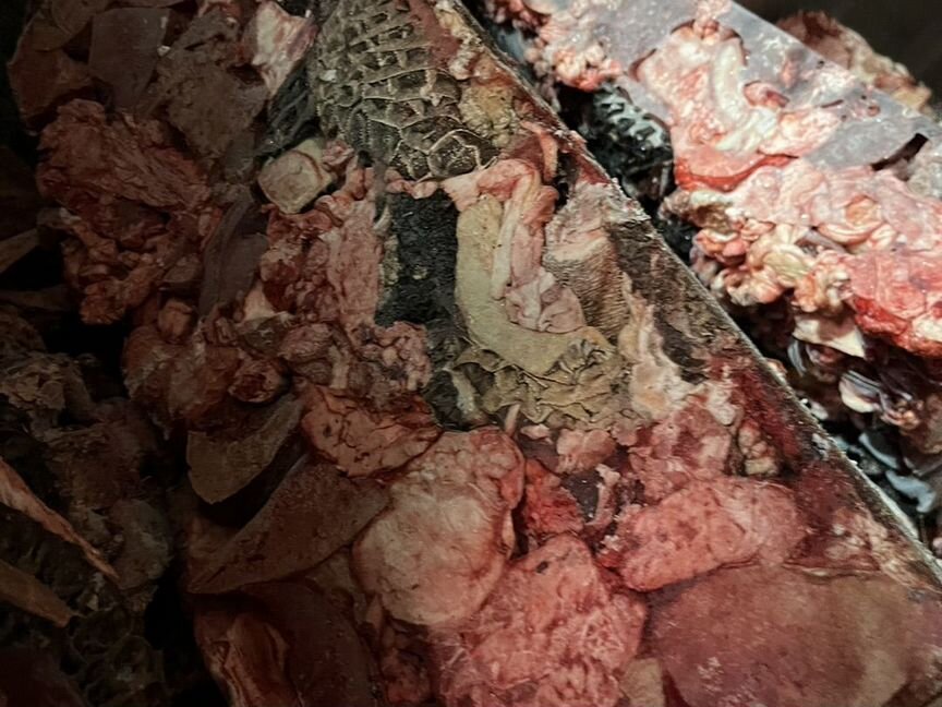 Говяжьи обрези для собак