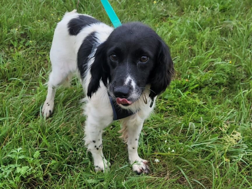 Элис пристраивается в новую семью