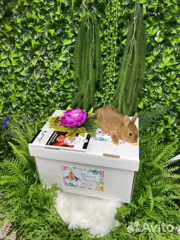 Идеальный подарок китлик