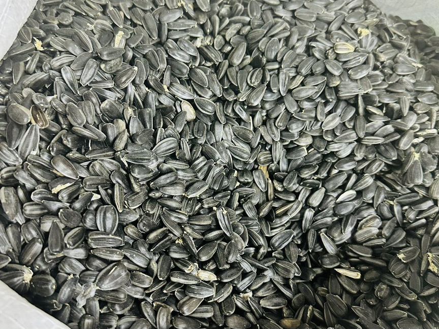 Семечки для птиц