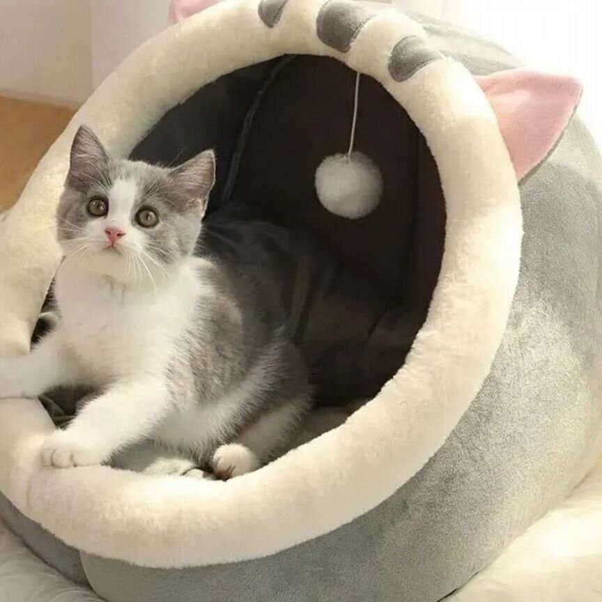 Домик лежанка для кошки (забронировано)