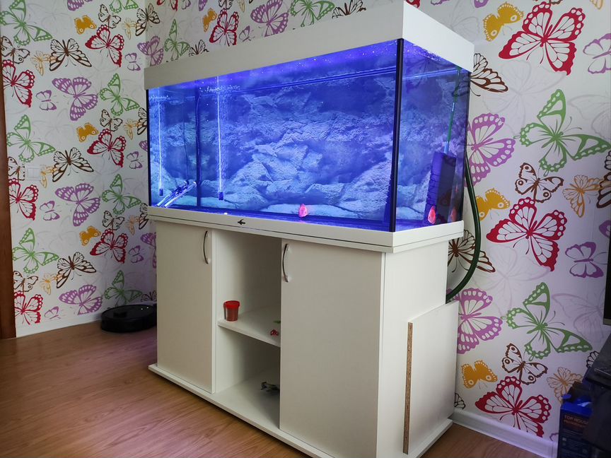 Аквариум 350 литров биодизайн с рыбой