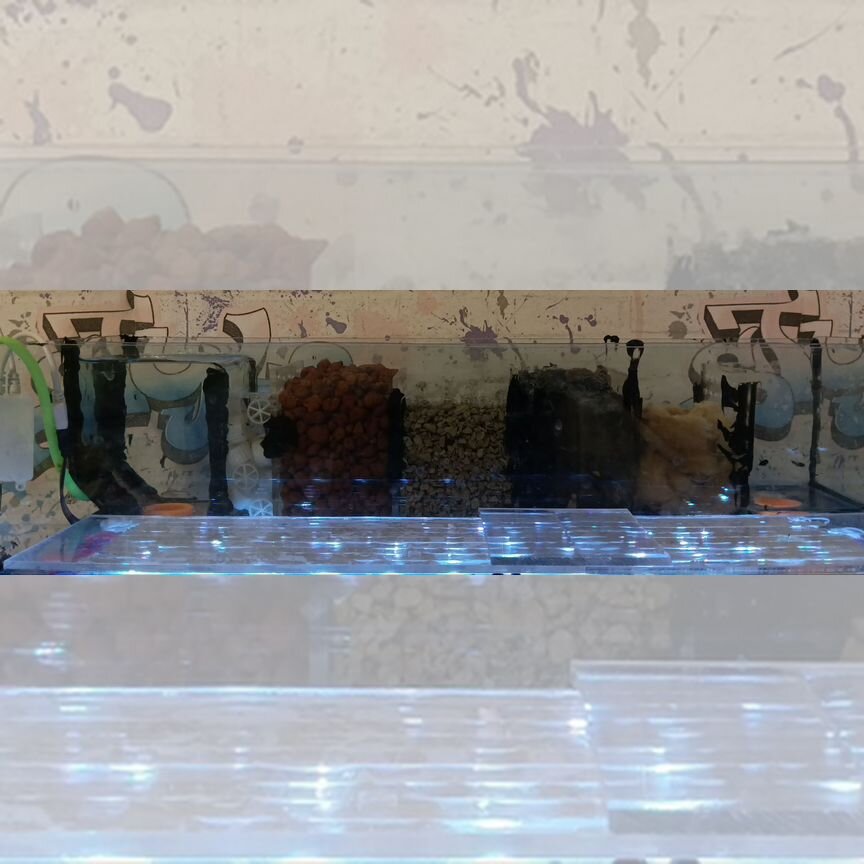 Биофильтр для аквариума