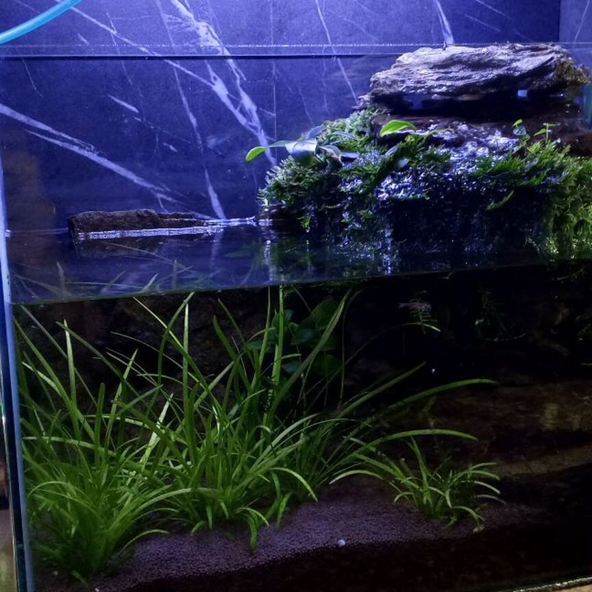 Аквариум с водопадом