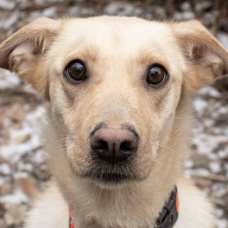 Юта ищет дом