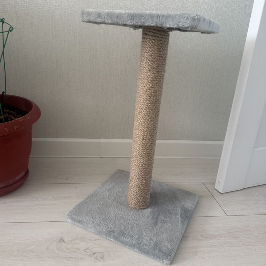 Когтеточка