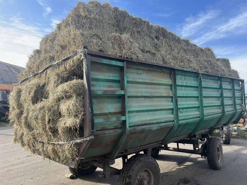 Сено луговое в тюках бесплатная доставка