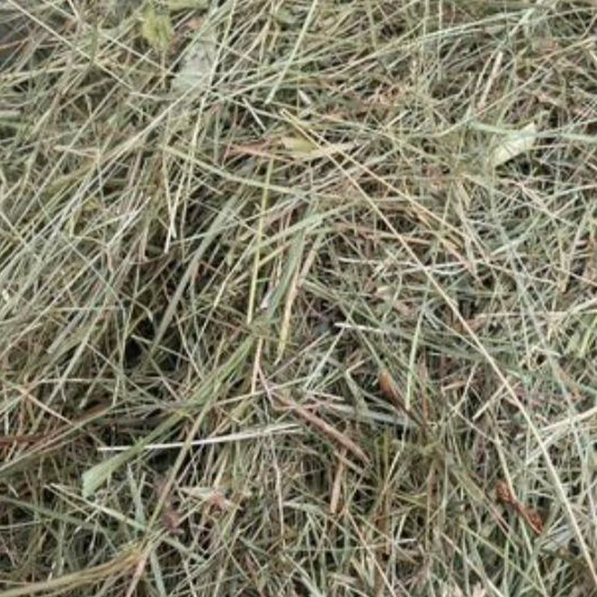 Сено в мешках и тюках