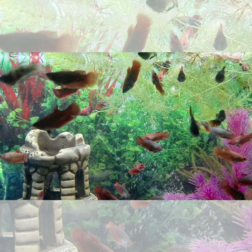 Украшение для аквариума