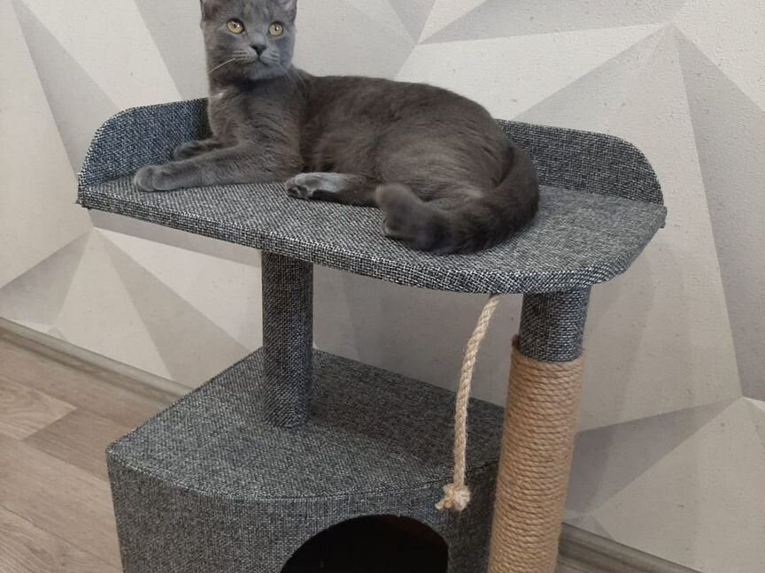 Домик для кошки