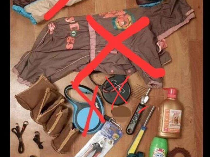 Для собак рулетка, поводок, комбинезон