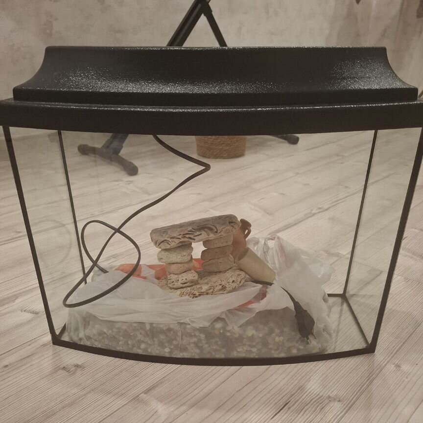 Аквариум