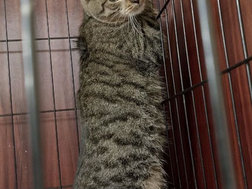 Малыш испуган, нужен дом