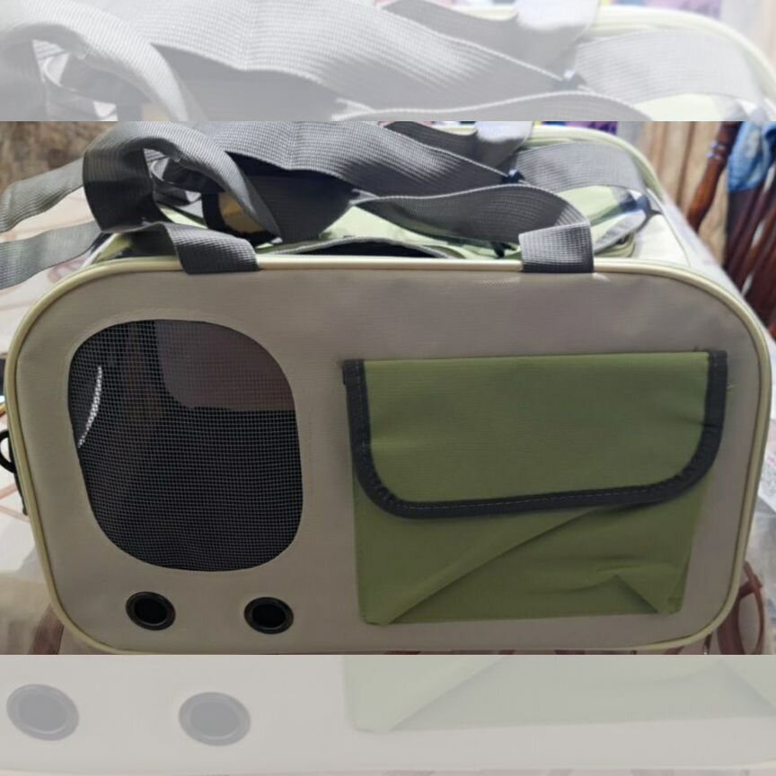 Переноска для животных прокат