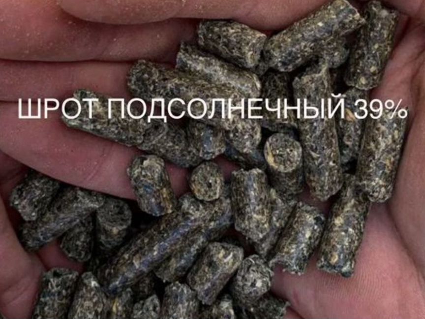 Шрот подсолнечный. Масло подсолнечное