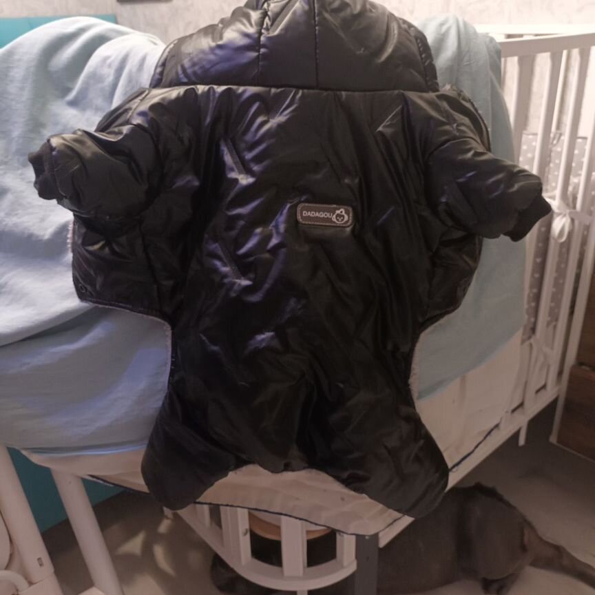 Зимняя одежда для собак