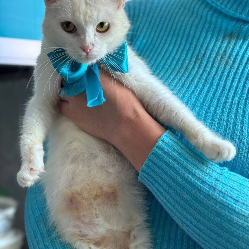 Снежинка