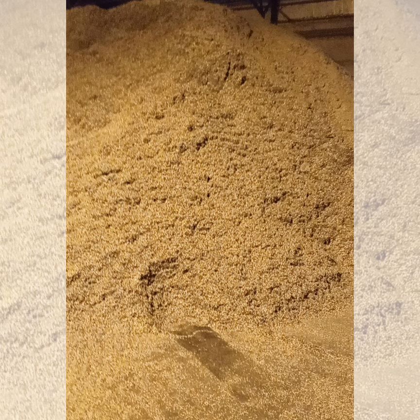 Лузга шелуха подсолнечника